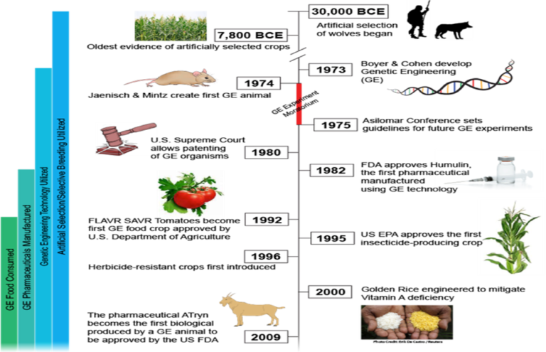 GMOs: Art of Duplicating – SYGYZY Designs